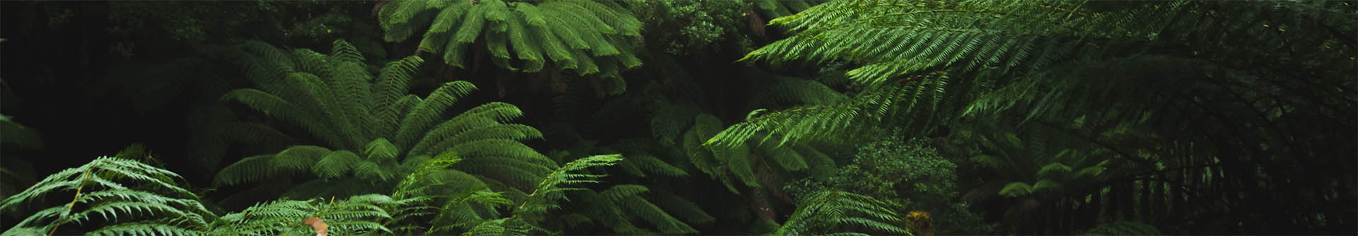 Testimonials for Project Torque